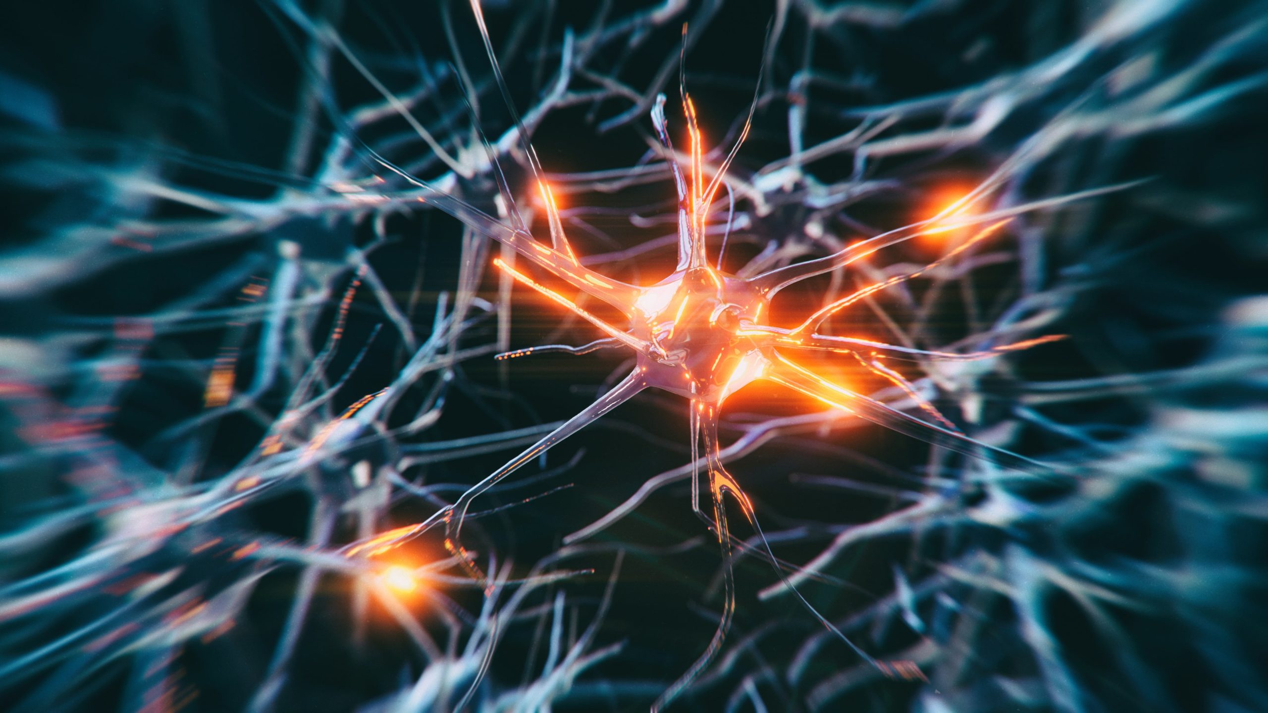 Neil Cashman awarded ALS Canada Research Program Discovery Grant ...