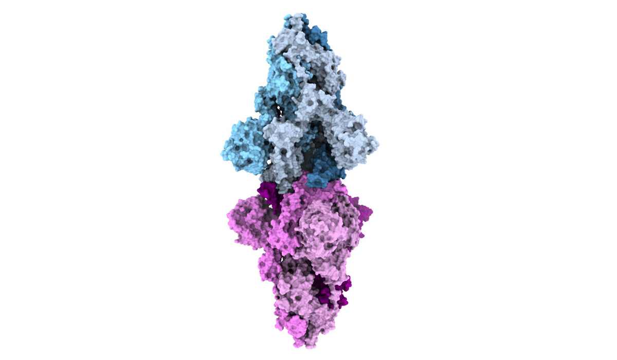 Delta vs. Kappa: study examines molecular factors that fuel COVID-19 ...