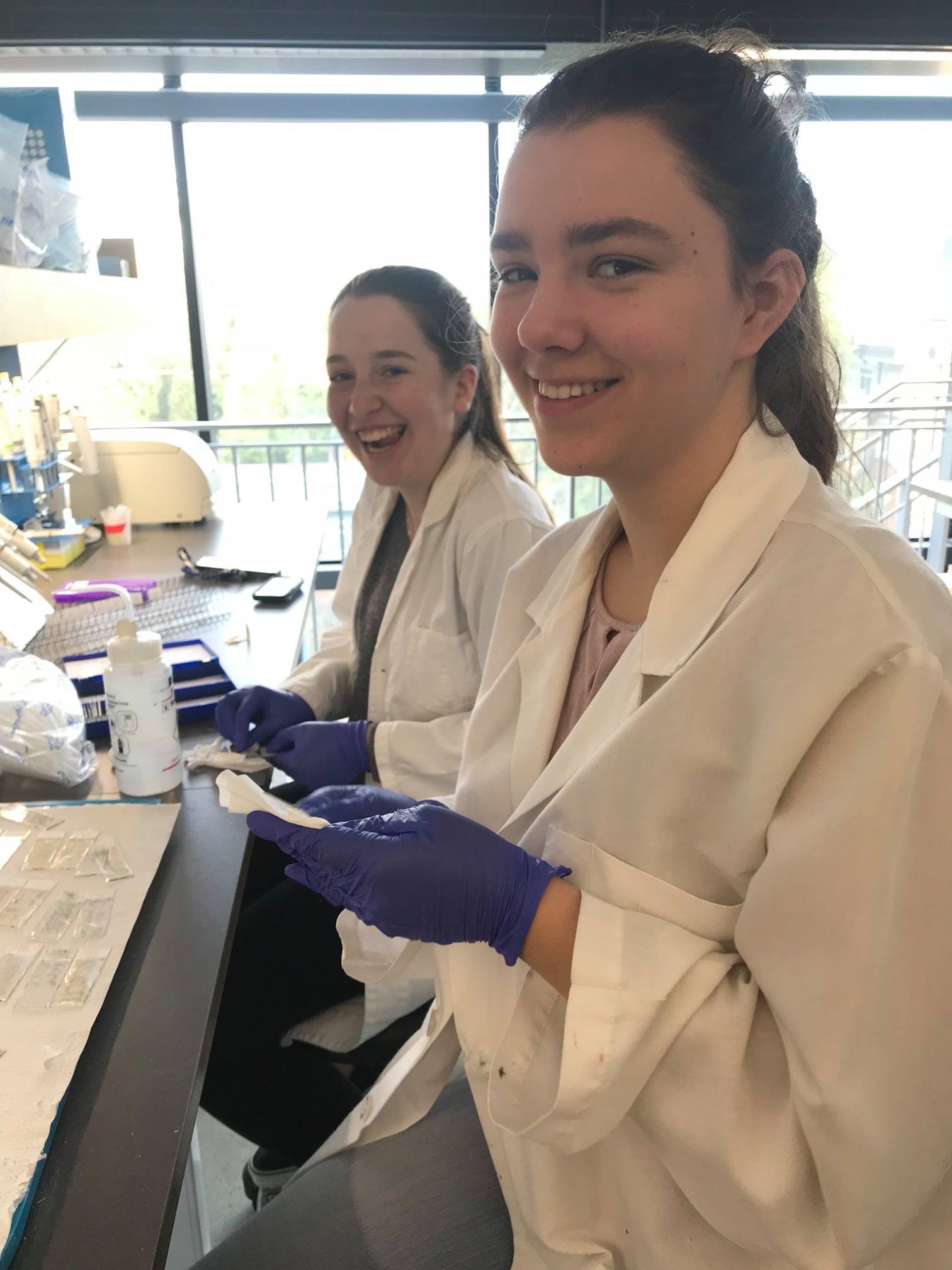 New Paper Alert: Not enough studies effectively investigate sex differences! | Laboratory of ...