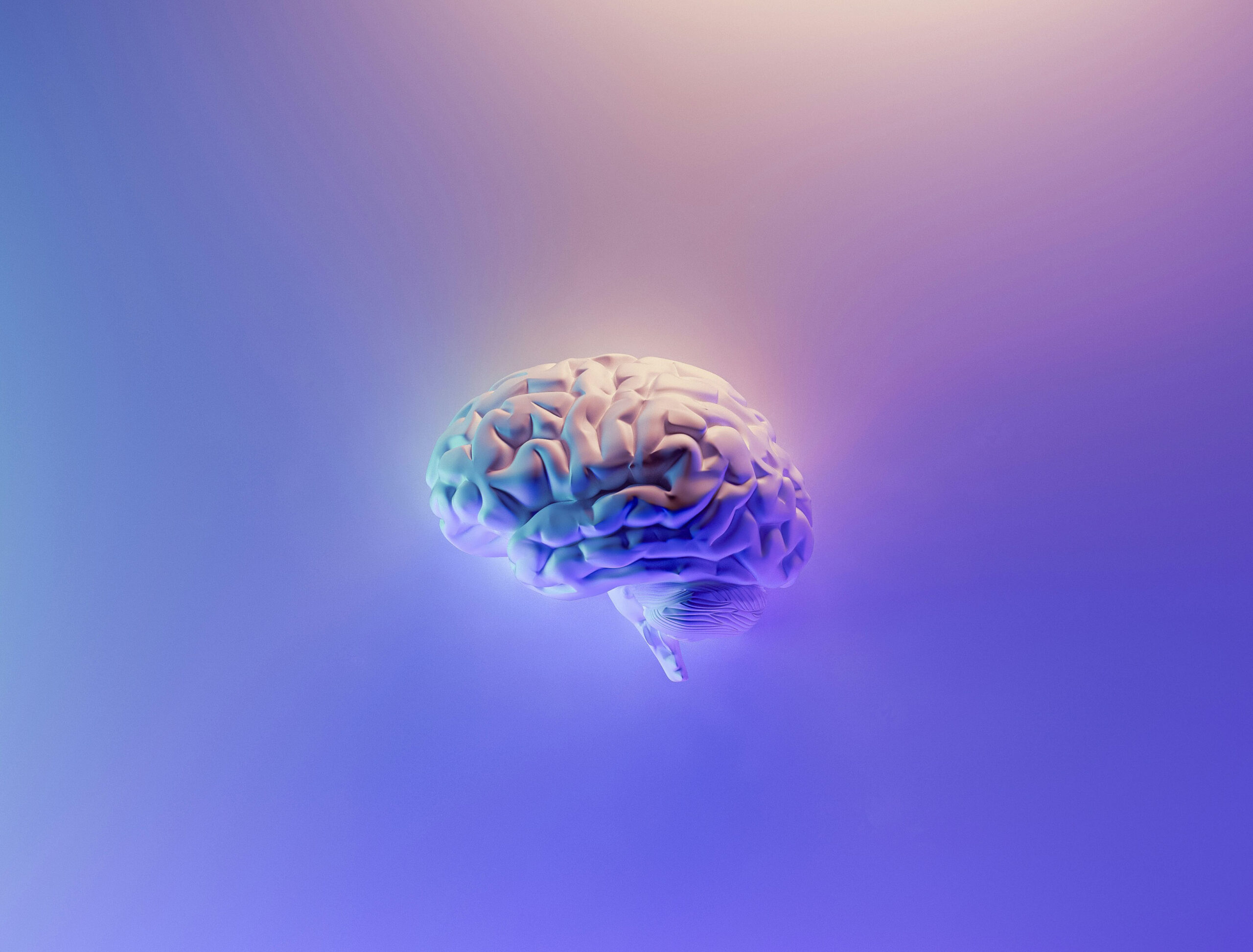 Brain Awareness Week 2024: 5 tips to improve brain health - Djavad ...