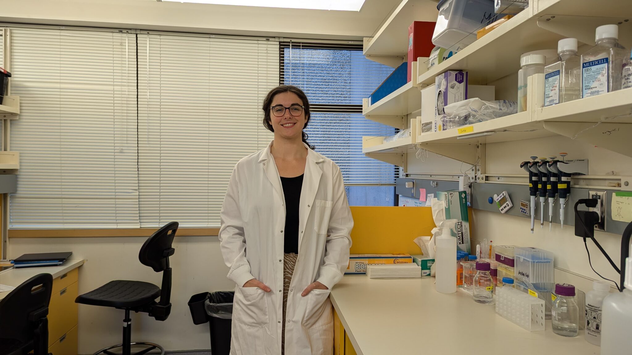 At the Brain’s Edge: Researching the Meninges and their Role in Brain ...