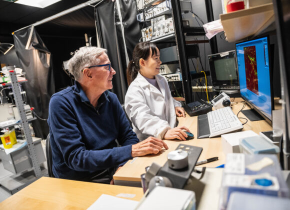 Working to Advance Brain Health - Djavad Mowafaghian Centre for Brain ...