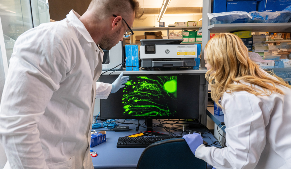Meet the newly discovered brain cell that allows you to remember ...